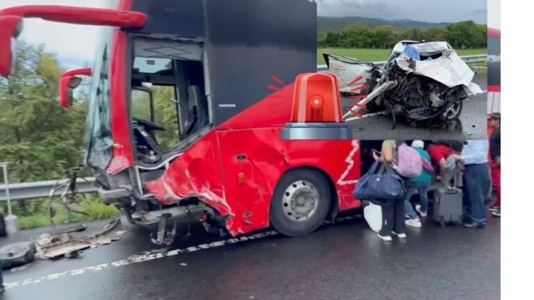 ADO y auto chocan en autopista Cardel – Poza Rica; hay 1 muerto ...